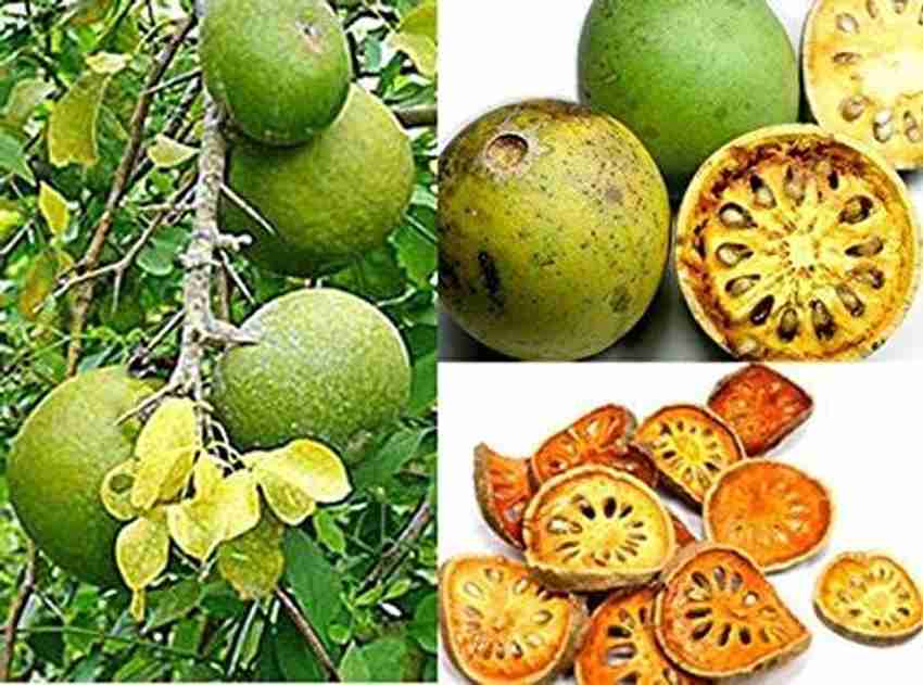 Marmelos fruit store
