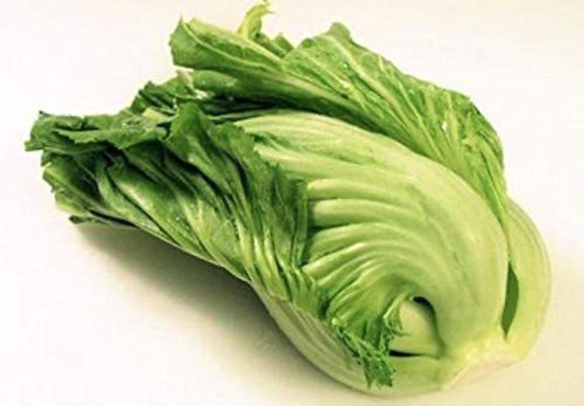 Chinese Mustard Greens Plant