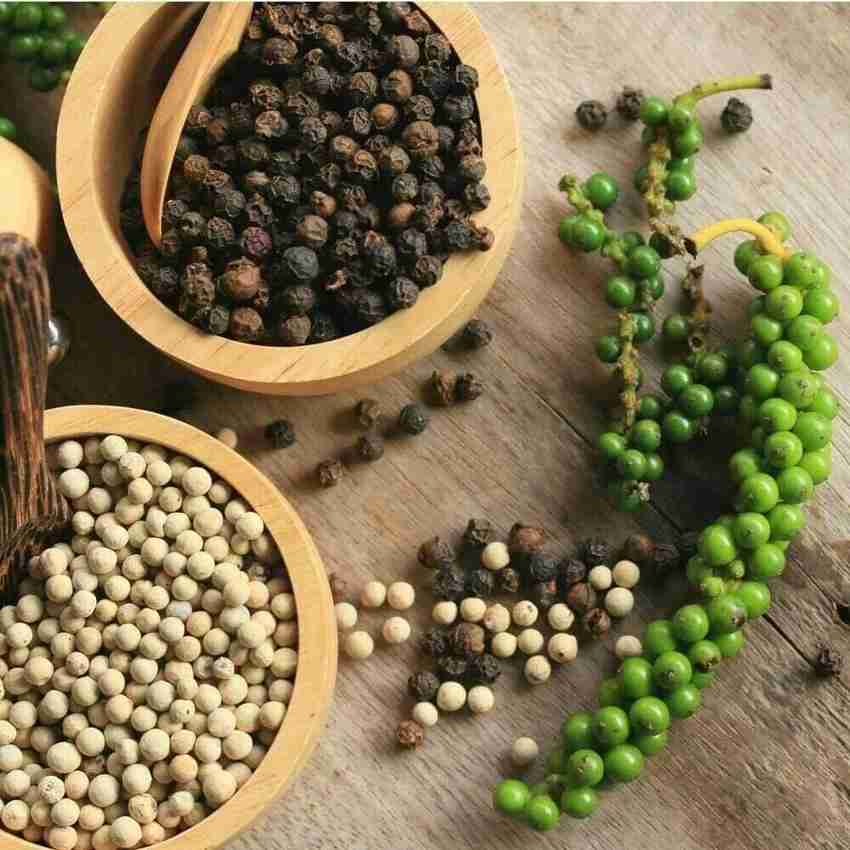 Black Pepper Seeds For Planting How To Grow Pepper Plants | Park Seed