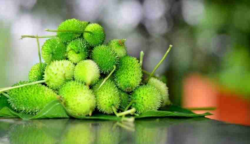 Green Spiky Vegetable