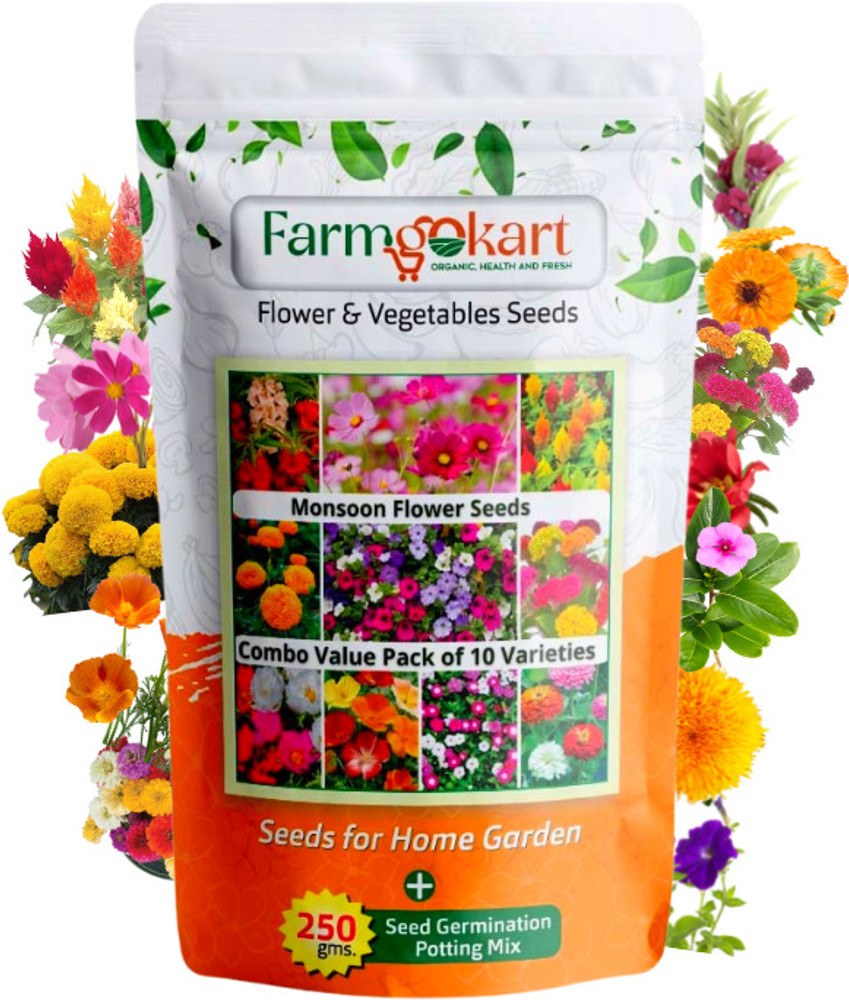 Imported Flower Seeds In India | Best Flower Site