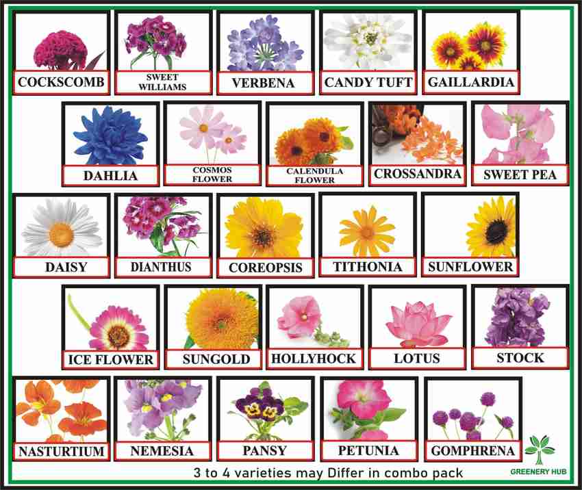 25 Flowers Name In Kannada | Best Flower Site