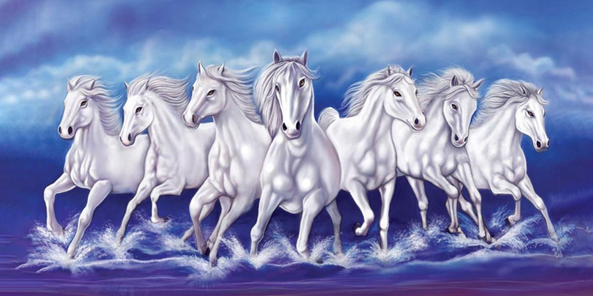 7 Horses Wallpaper Hd