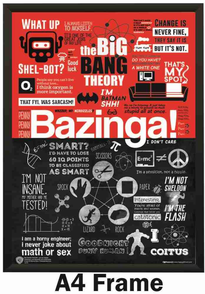 Big Bang Theory Famous Quotes