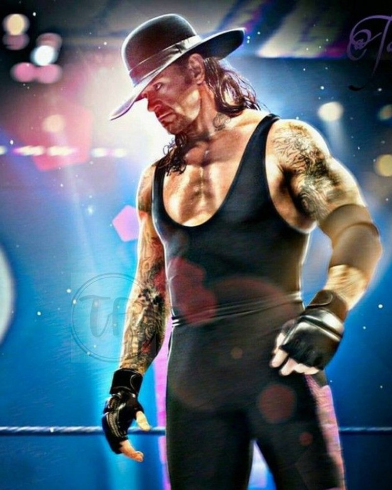 Wwe Undertaker 2002
