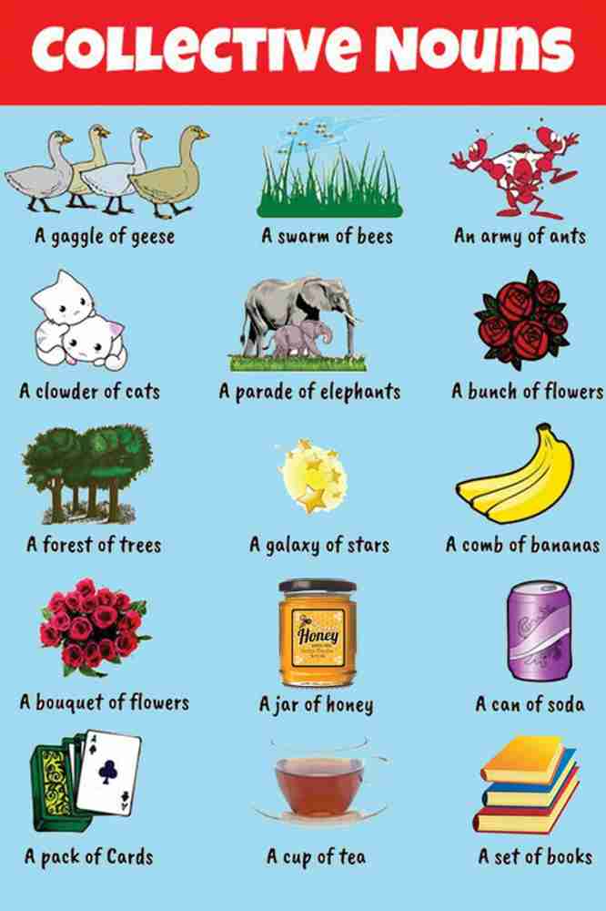 Collective Nouns Poster