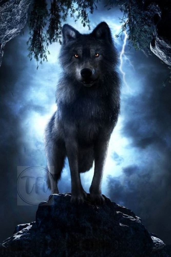 Wolf Puppy Room Wallpaper