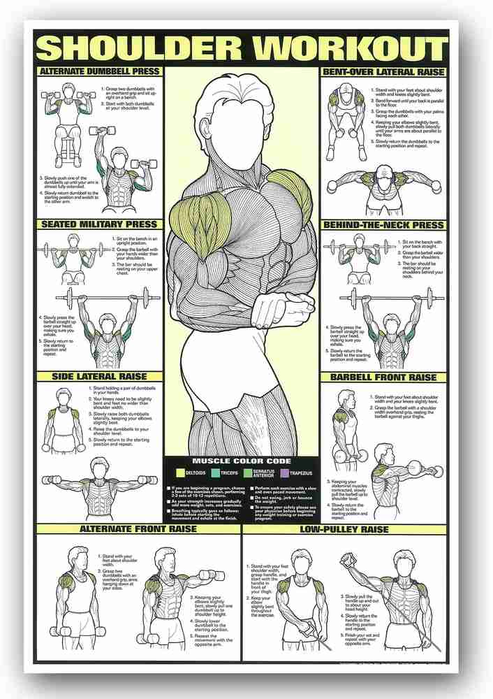 Shoulder Exercises Chart