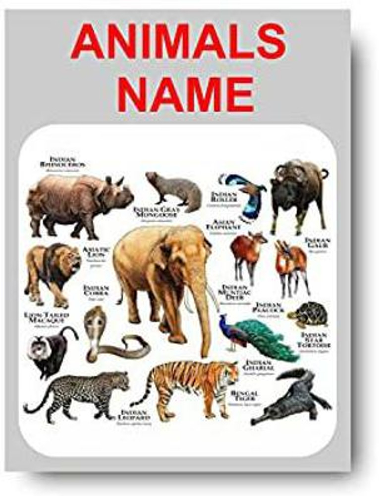 Learn Zoo Animals Names For Kids Forest Wild Animals Sound Names