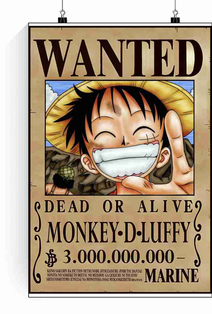 One Piece Wanted Posters Luffy