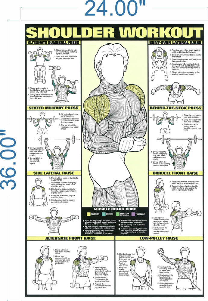 Shoulder Exercises Chart