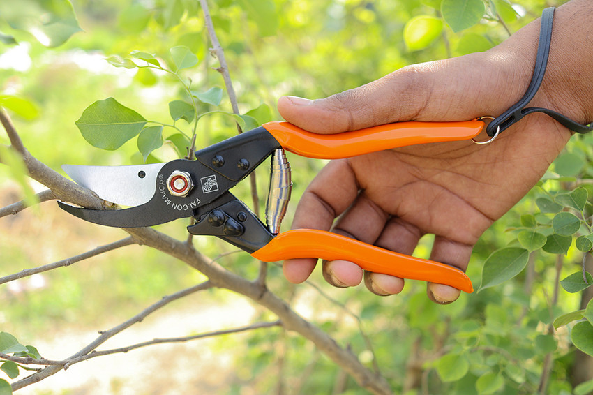 Falcon branch cutter store