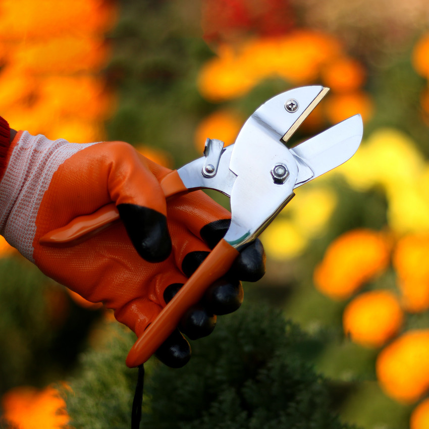 SHAHJI M1 Garden Pruner Pruning Secateur Garden Cutter Anvil Pruner Garden Tool Kit Price in India Buy SHAHJI M1 Garden Pruner Pruning Secateur Garden Cutter Anvil Pruner Garden Tool Kit online