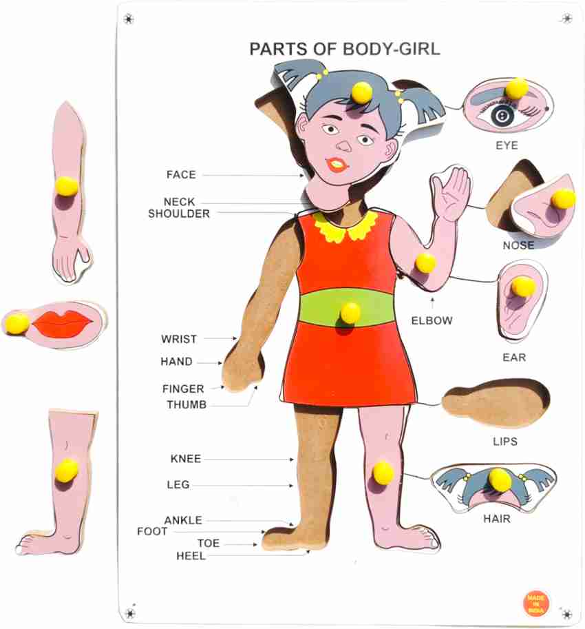 Girl Body Parts Name