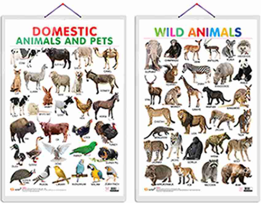 Domesticated Wild Animals