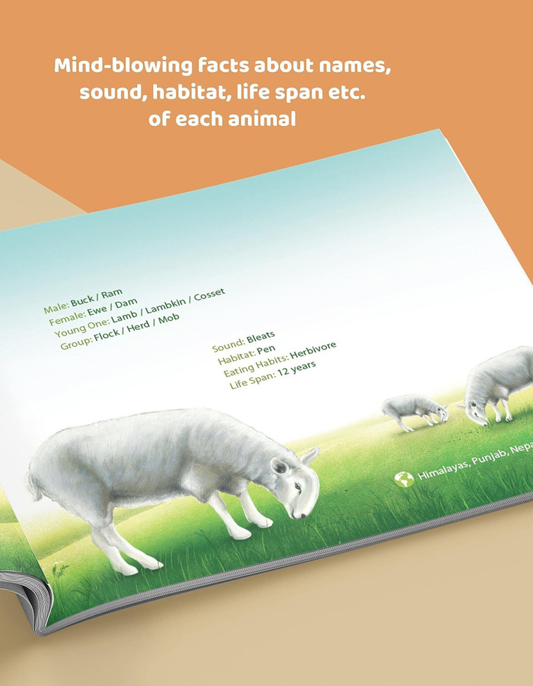 Fun Facts About The Animal Kingdom That Kids Will Enjoy