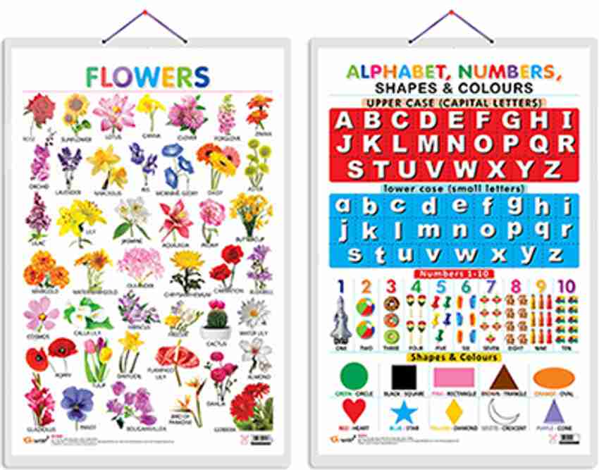 Flowers With 8 Letters | Best Flower Site