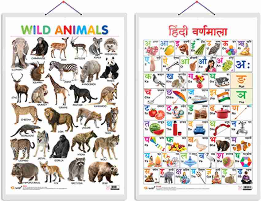 Hindi Animals Chart- Basic School Chart Print Of Domestic Animal In