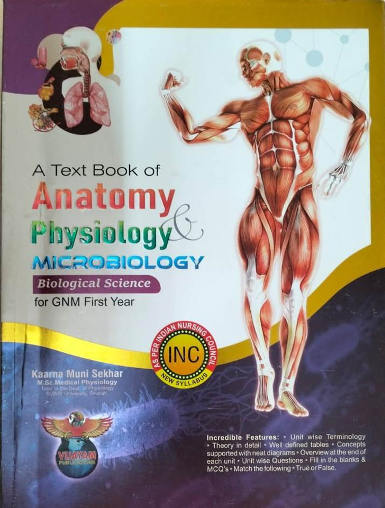 Science Of Anatomy Discovery Anatomy Human Kit | Science Museum Shop
