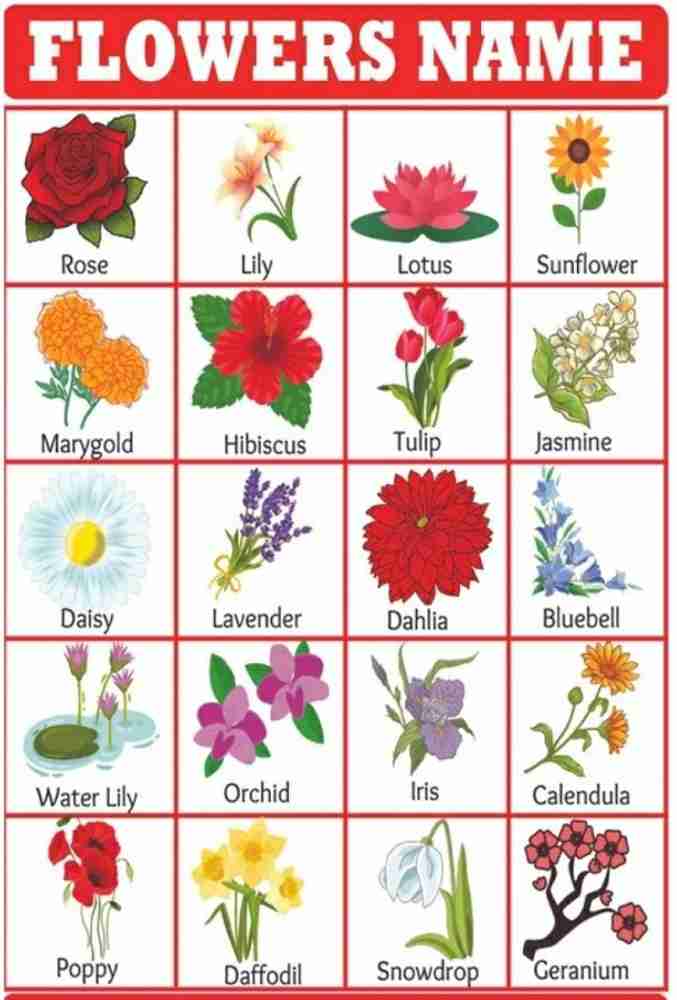 Pic Of Flowers With Name