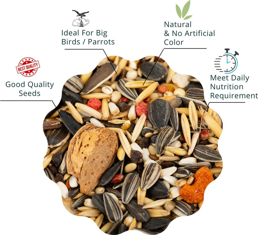 Indian Parrot Food List