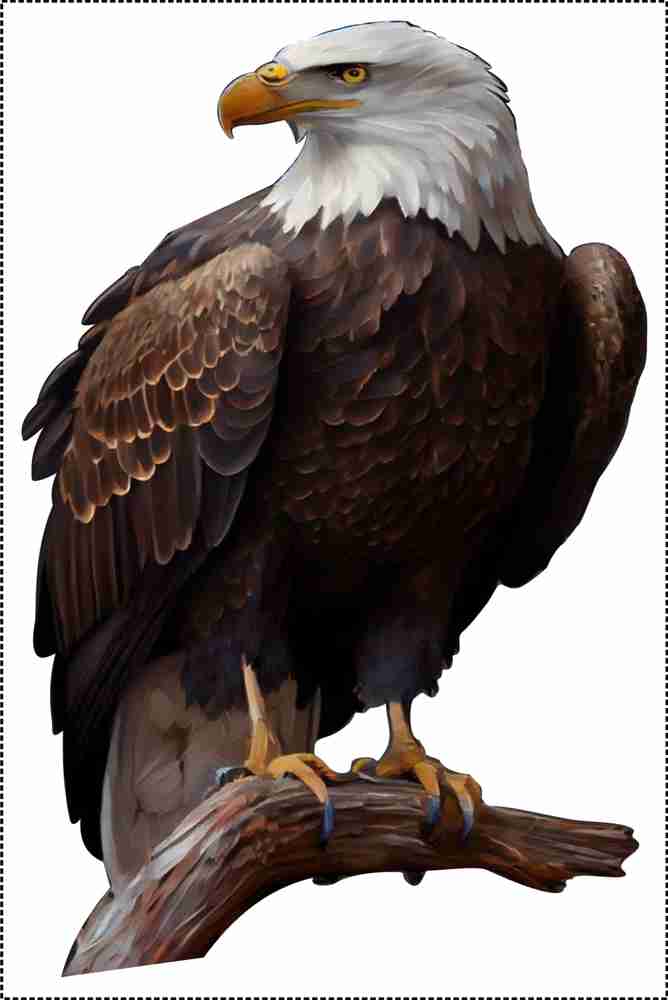 Eagle Decals And Stickers