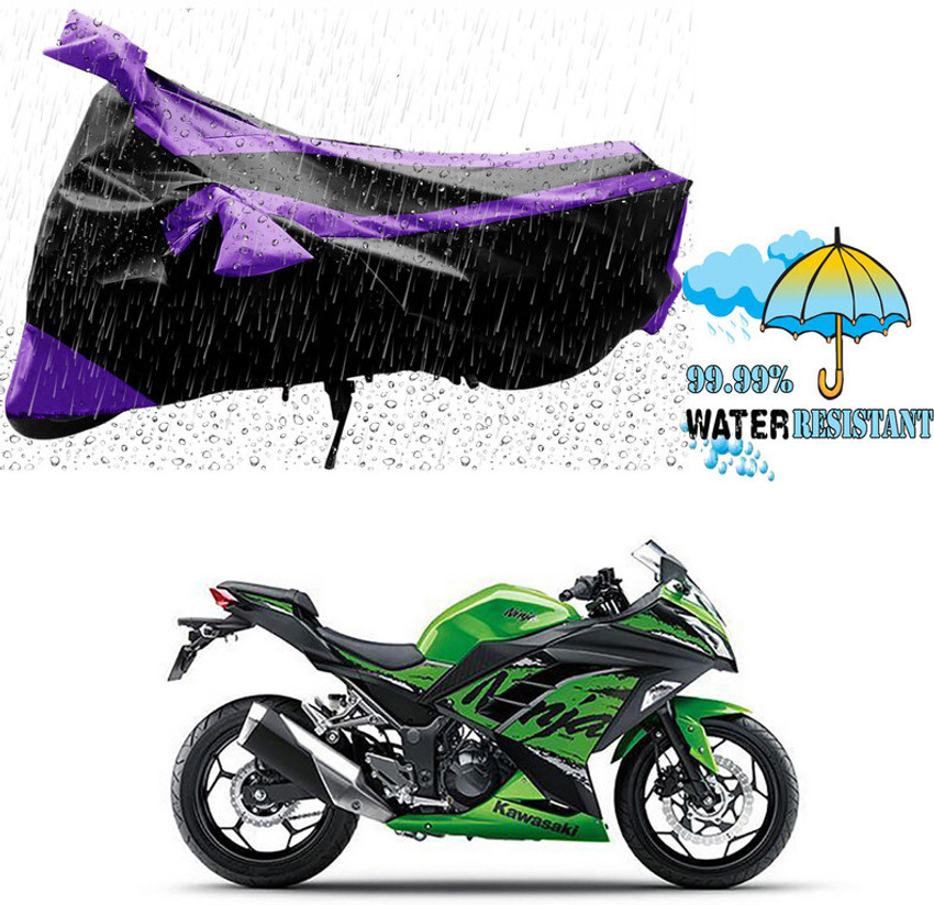 Kawasaki Ninja 300 Purple