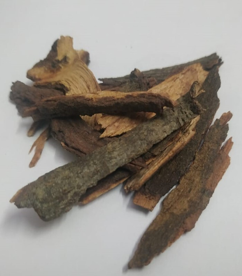 Moringa Oleifera Bark