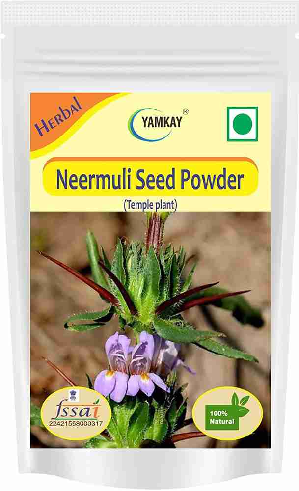 Hygrophila Auriculata