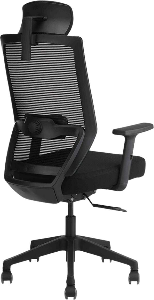 BOSQ Ergonomic Living Mesh Office Adjustable Arm Chair Price in India ...