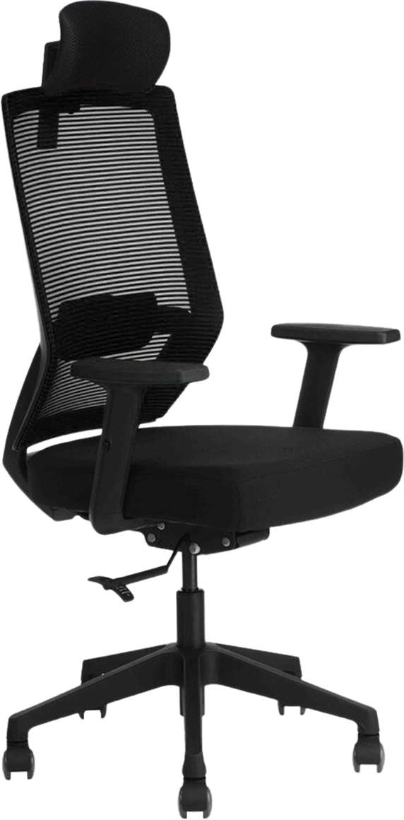 BOSQ Ergonomic Living Mesh Office Adjustable Arm Chair Price in India ...