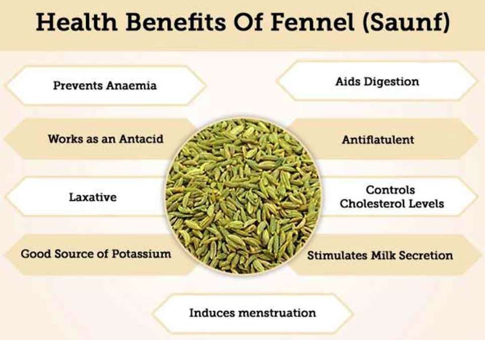 Marwar Saunf Whole (Fennel Seeds) Big Size Sounf, 1 Kg Pouch Price in ...