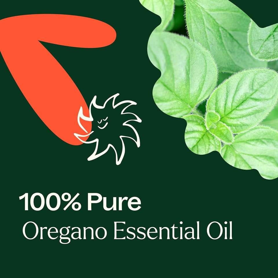 Plant Therapy Oregano Essential Oil 100% Pure Diffuser, Aroma Oil ...