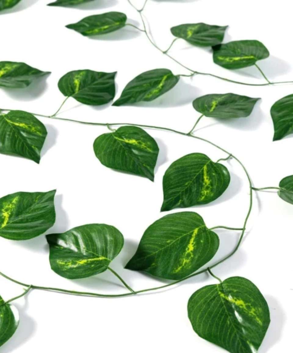 YTMART 8ft Set of 3 Artificial Money Plant Creepers,For|Home|Office ...