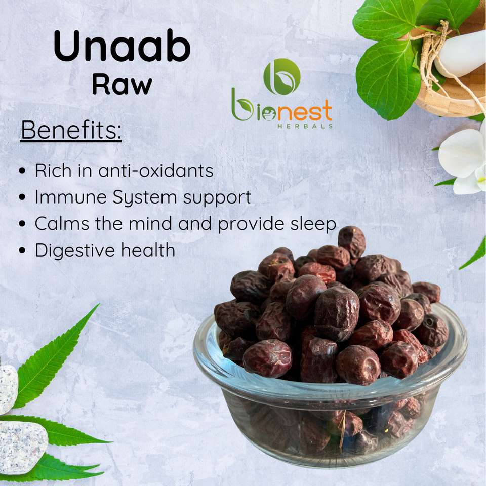 Bionest Herbals Unaab (Raw) - 750 g | Jujube Fruit | Anti-oxidant ...
