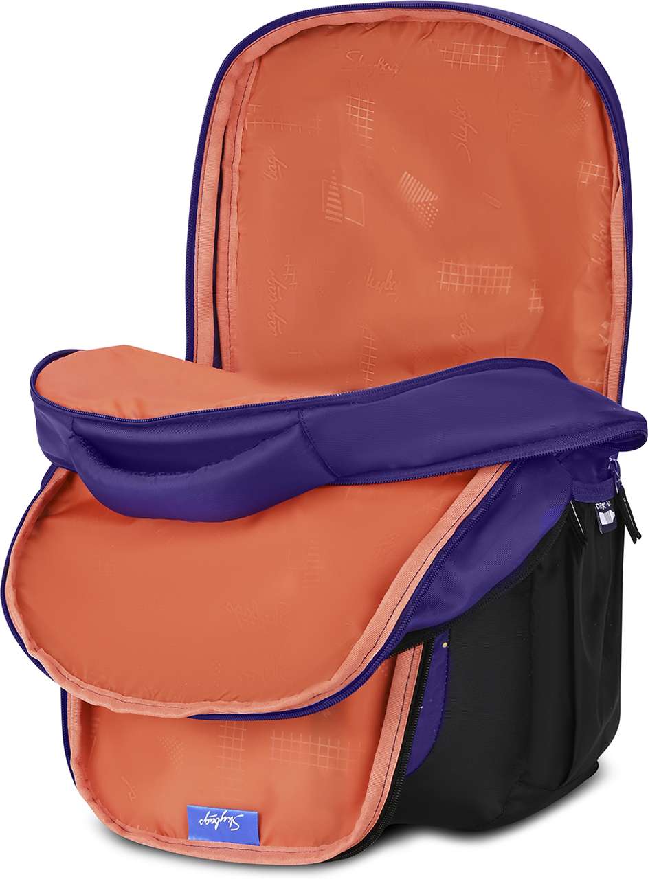 SKYBAGS Manga Anime School Backpack for Boys & Girls with 3 ...
