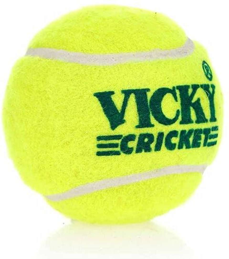 ERBIL Vicky Cricket Tennis Ball Pink (Light) Cricket Training Ball ...