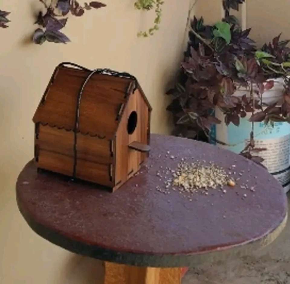 Sohibe Bird House or Bird Nest DIY Bird House (Pack of 3) Bird House ...