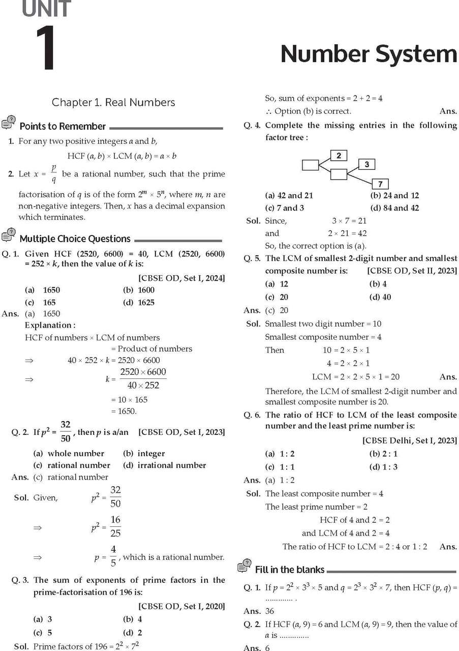 CBSE All in 1 Guide Book Class X for 2025 Examination - NCERT Questions ...