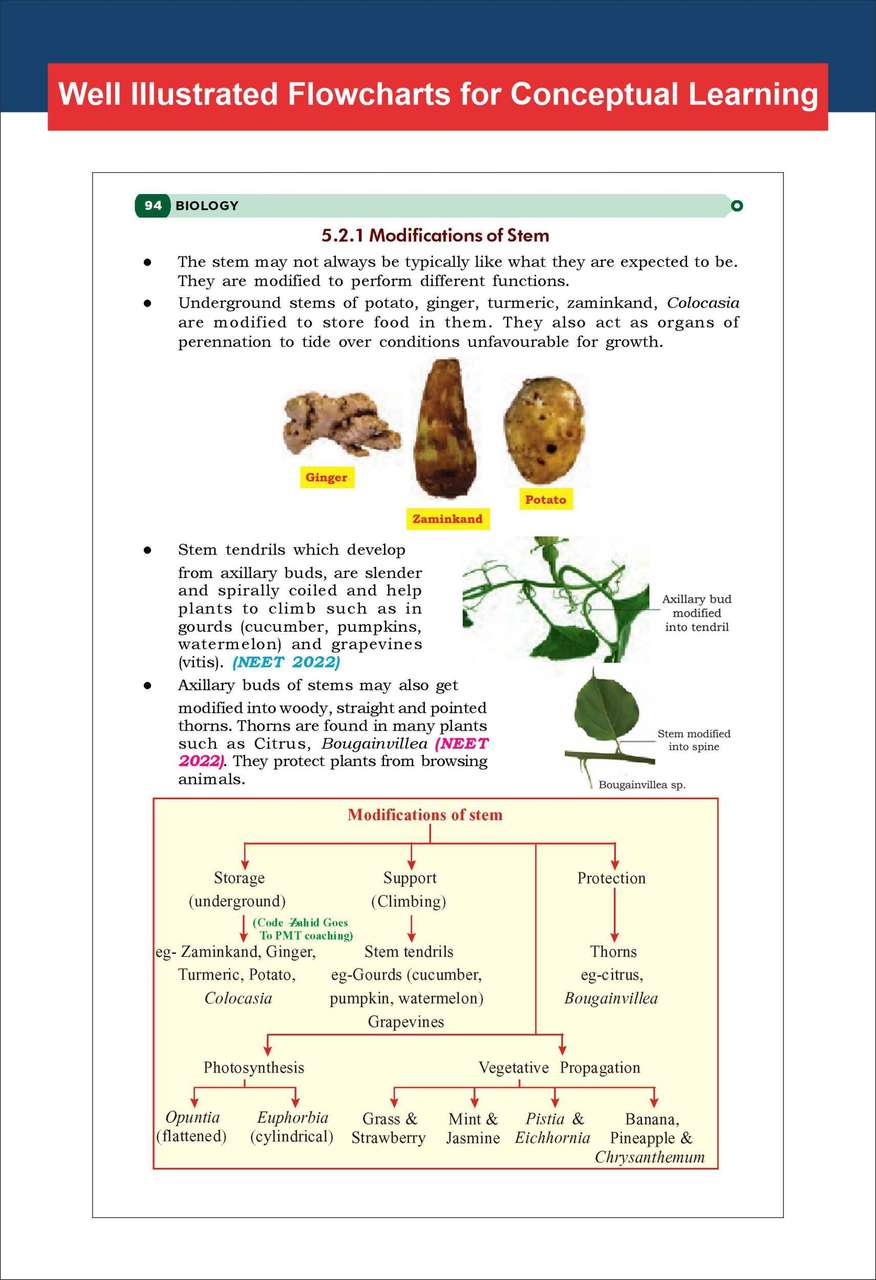 Disha's New Syllabus NCERT Tablet Biology for NEET (UG) 2026 - 4th ...