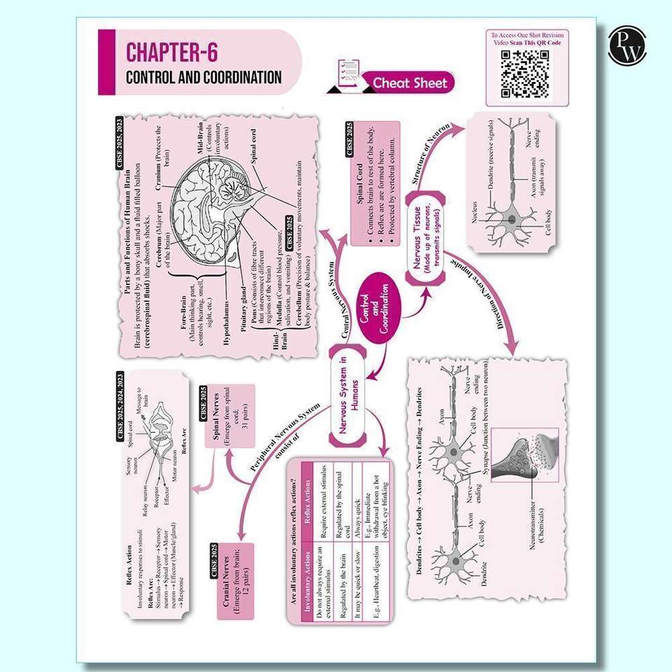 Pw Cbse Class 10 Sample Papers Science ?for 2025 - 2026 Board Exam | 1 ...