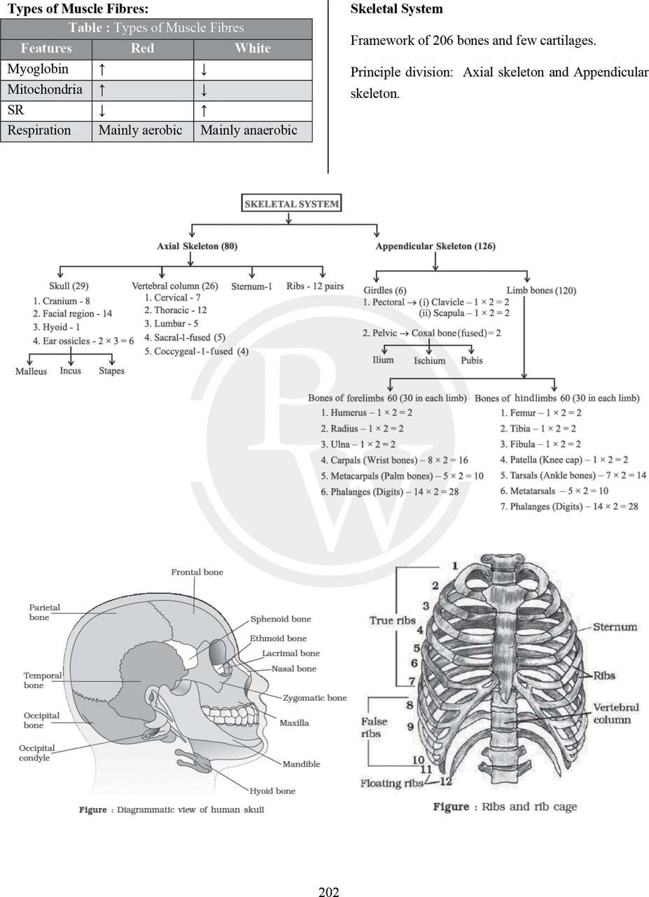 PW CBSE Class 11 Formula Handbook For 2026 Exams | Chapterwise Key ...