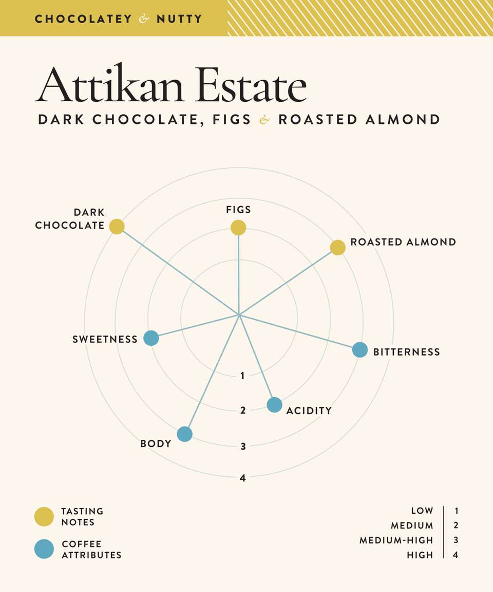 Blue Tokai Coffee Roasters Attikan Estate (Medium Dark Roast) (Whole ...