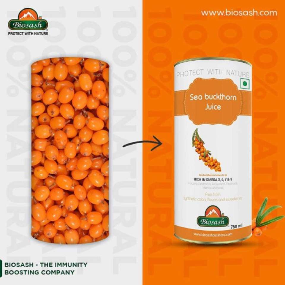 BIOSASH Sea buckthorn juice Price in India - Buy BIOSASH Sea buckthorn ...