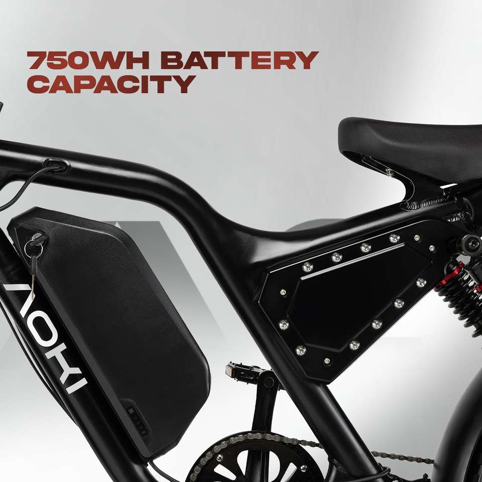 Aoki Street Ghost 105km Dual Rear Suspension 20 inches 7 Gear Lithium ...