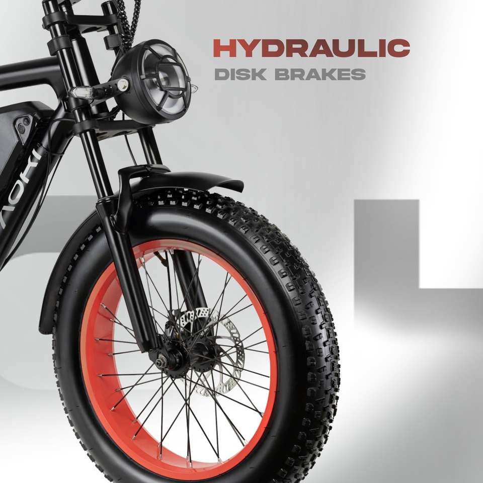 Aoki Street Ghost 105km Dual Rear Suspension 20 inches 7 Gear Lithium ...