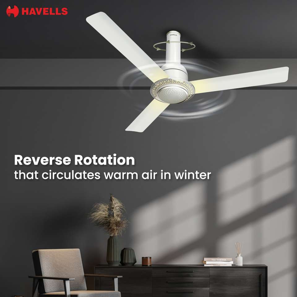 HAVELLS CERA Underlight|Remote Controlled|Reverse Rotation|Carving ...
