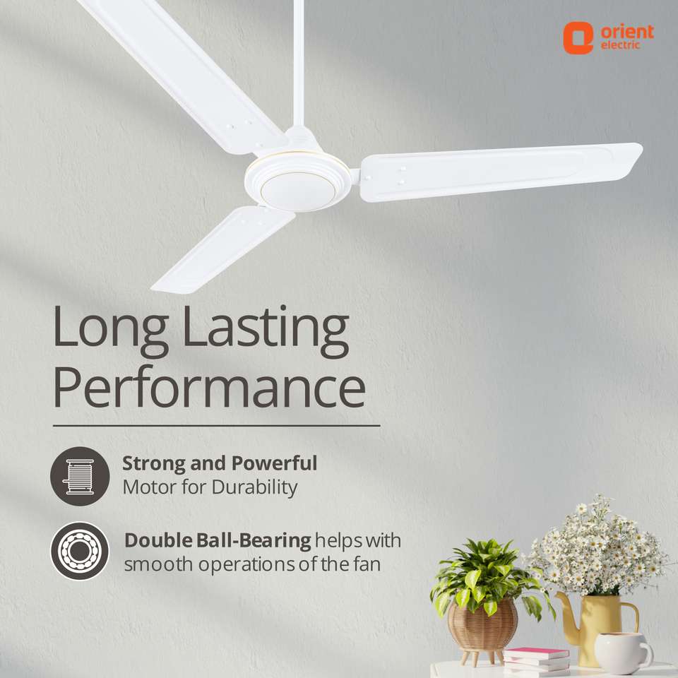 Orient Electric Ujala Air| Rust Resistant | Heavy Motor | BEE-1 Star ...