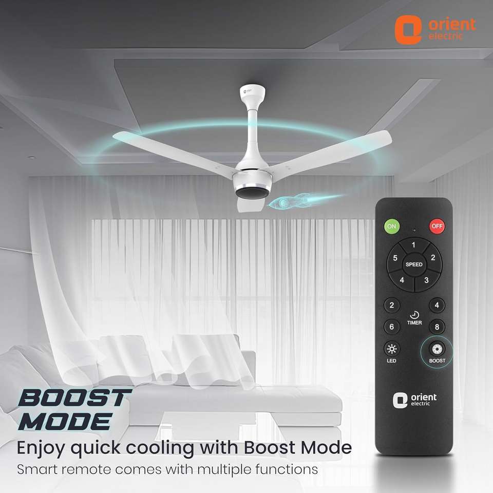 Orient Electric Aeon BLDC with 5 Year Warranty BLDC Motor with Remote ...