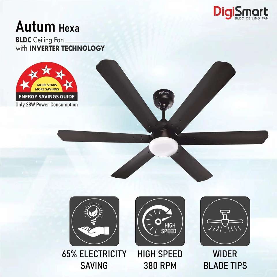 DIGISMART AUTUM HEXA with 5 Year Warranty BLDC Motor with Remote ...